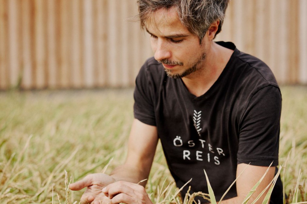 ÖsterReis - So schmeckt NÖ