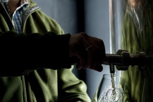 Wein-Genuss-Gut Siedler - So schmeckt NÖ