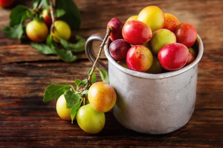 Kleines Früchtchen, große Familie - So schmeckt NÖ