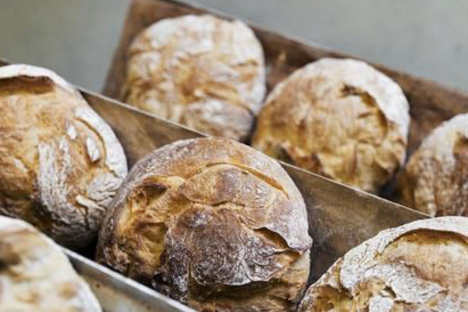 Joseph Brot - So schmeckt NÖ